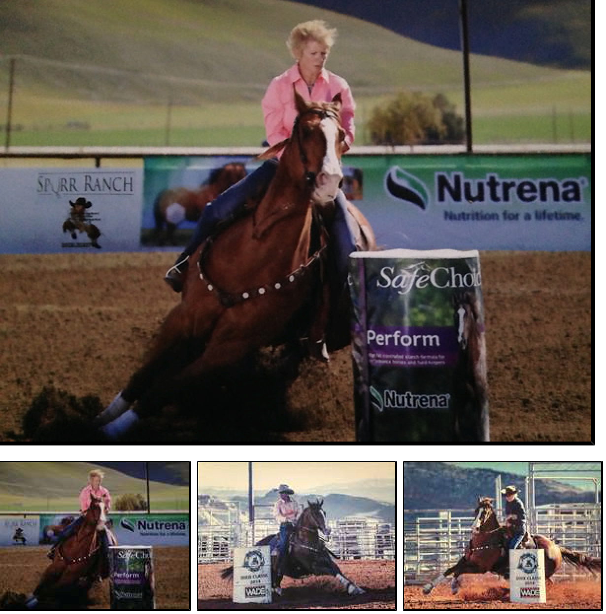 Lyndee Stairs, Stairs Ranch WR Sippin Fine Wine Broodmare